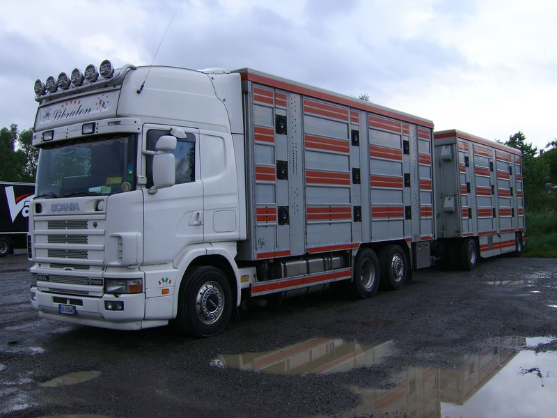 Trasporto bestiame - Forum Macchine